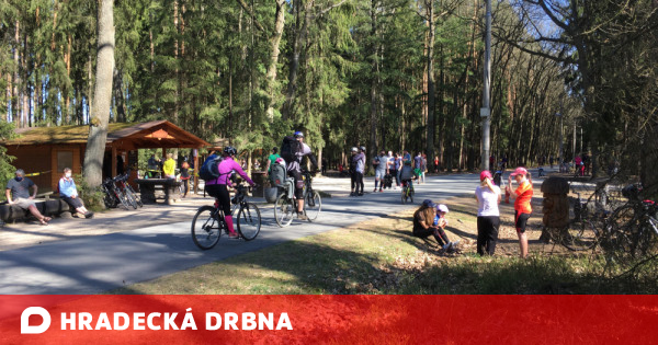 Lidé už se nebojí. V hradeckých městských lesích lidé bez roušky i ve ...