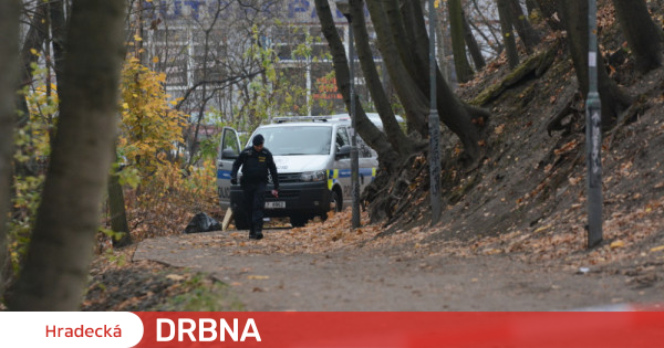 Mrtvým mužem nalezeným na Rychnovsku je zřejmě hledaný Martin Rybín ...