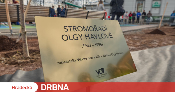 V Trutnově vysadili pět sakur na památku Olgy Havlové. Letos by se ...