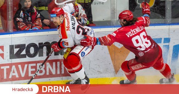 Lvi padli i podruhé. Sérii vrátíme do Hradce, věří Pavlík.