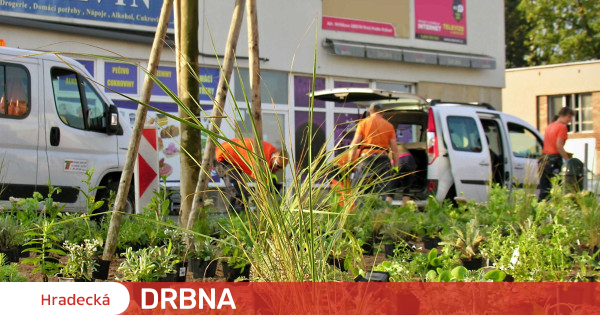 V Hradci Králové vznikl první ekologicky šetrný záhon. Lidé ho najdou v Malšovicích