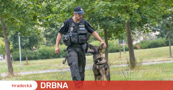 Děti si zítra v Hradci Králové vyzkouší první pomoc a uvidí v akci vycvičené psy