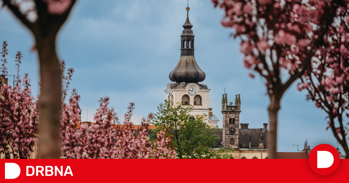 Městské informační centrum v Hořicích se po rekonstrukci vrací do radnice