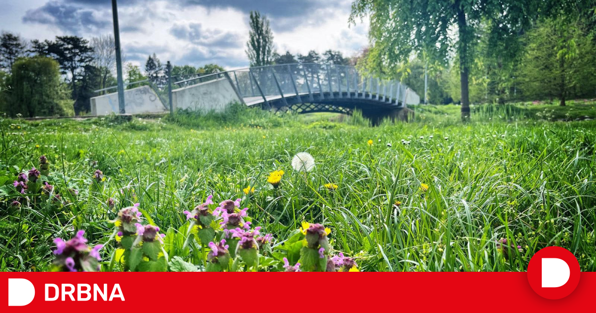 Přijďte na Hradecký piknik a promluvte si s primátorkou o tom, jak se vám v Hradci žije