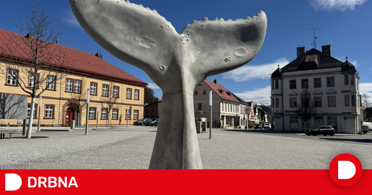 ANKETA: Ocas velryby na vrchlabském náměstí vzbuzuje různé druhy emocí